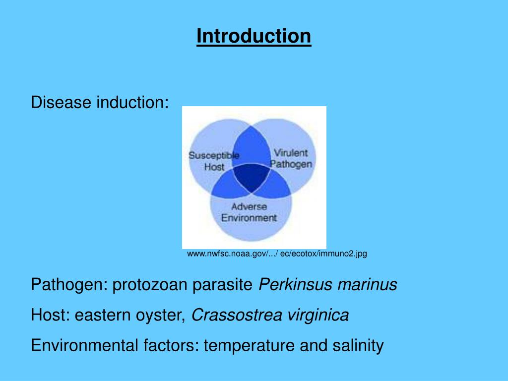 PPT - Parasite Evasion of Host: Perkinsus marinus /Eastern Oyster as a ...