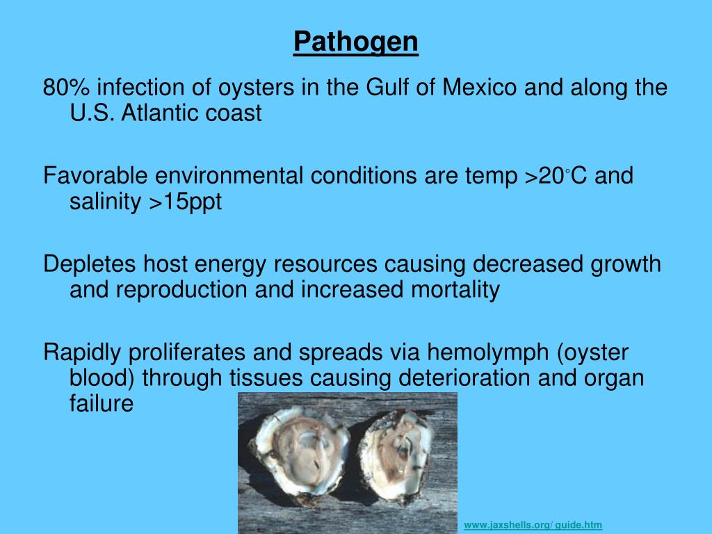 PPT - Parasite Evasion of Host: Perkinsus marinus /Eastern Oyster as a ...