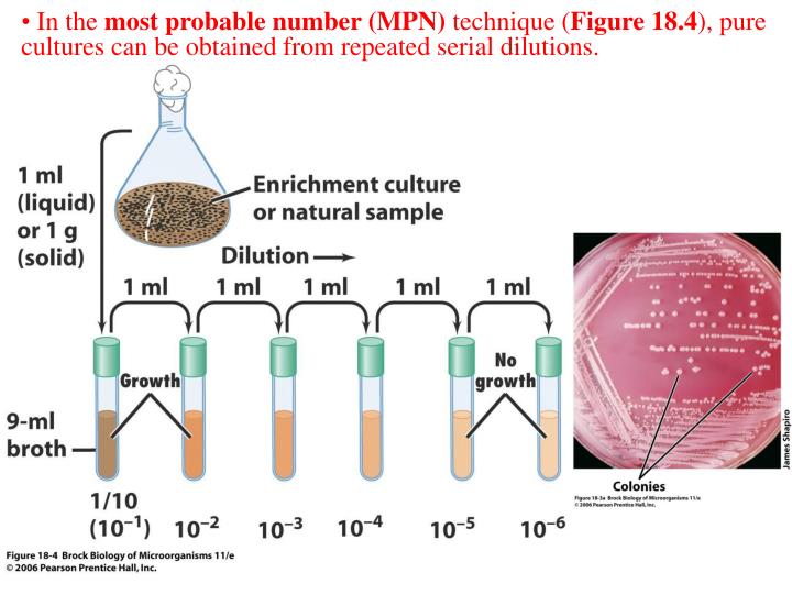 PPT - CHAPTER 18 Methods in Microbial Ecology PowerPoint Presentation ...