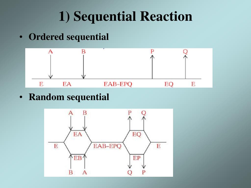 Ppt Enzyme Kinetic Powerpoint Presentation Free Download Id 305372