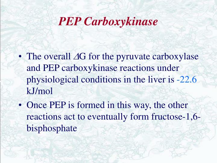 PPT - Chapter 22 PowerPoint Presentation - ID:305405