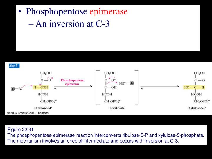 PPT - Chapter 22 PowerPoint Presentation - ID:305405