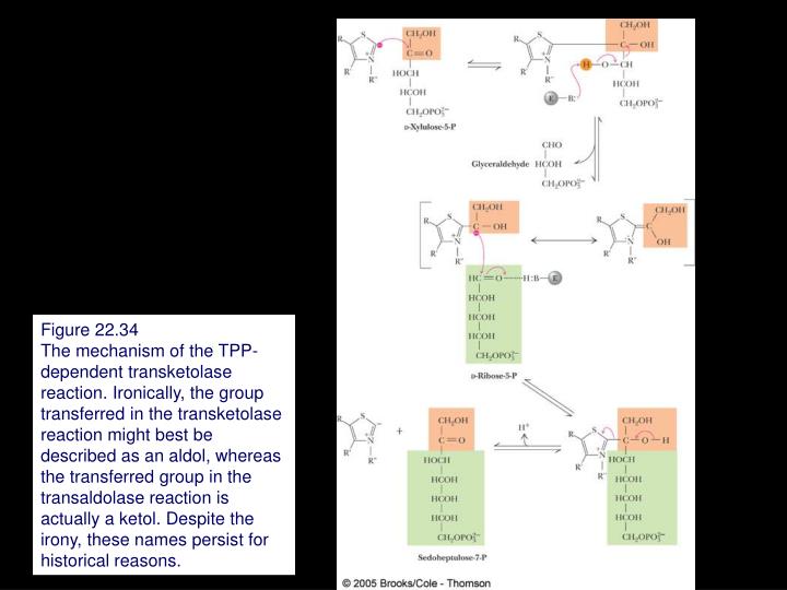 PPT - Chapter 22 PowerPoint Presentation - ID:305405