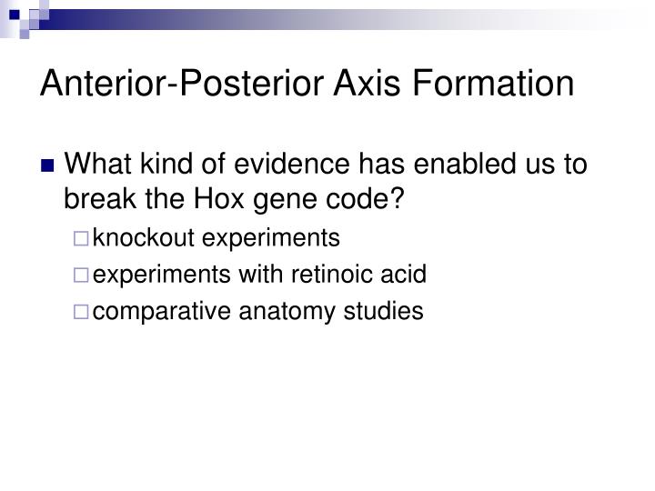 PPT - Early Development of Vertebrates PowerPoint Presentation - ID:306079