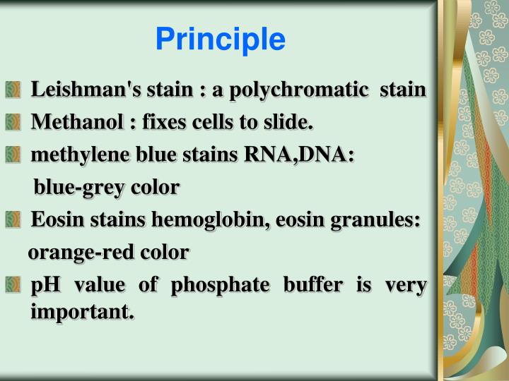 PPT - Blood smear preparation and staining PowerPoint Presentation - ID ...