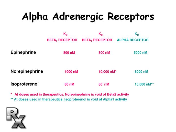 PPT - THE PHARMACOLOGY OF ADRENERGIC RECEPTORS PowerPoint Presentation ...