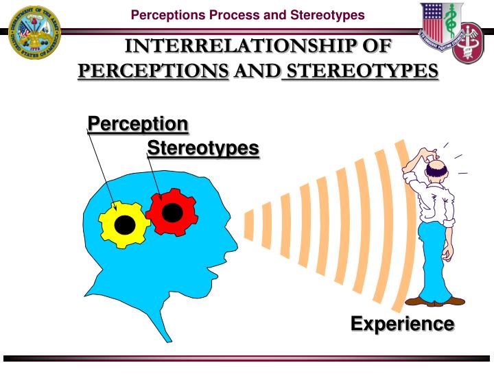 PPT - “Perception Process and Stereotypes” PowerPoint Presentation - ID:307067
