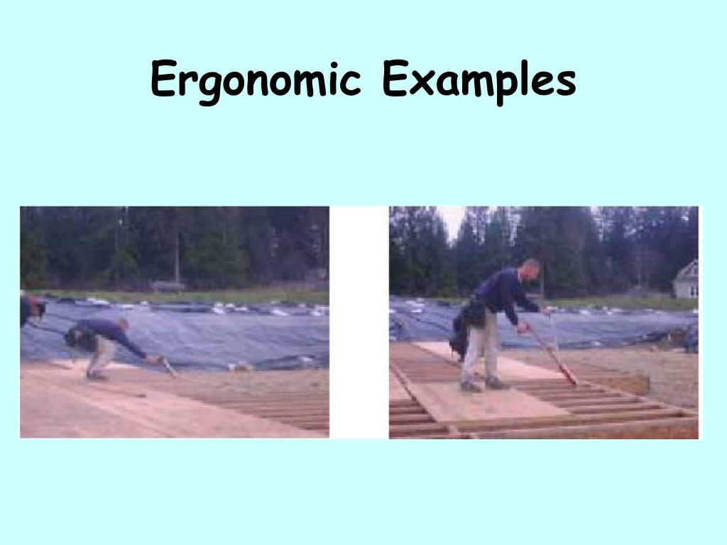 PPT - Ergonomics for Women in the Trades PowerPoint Presentation, free ...