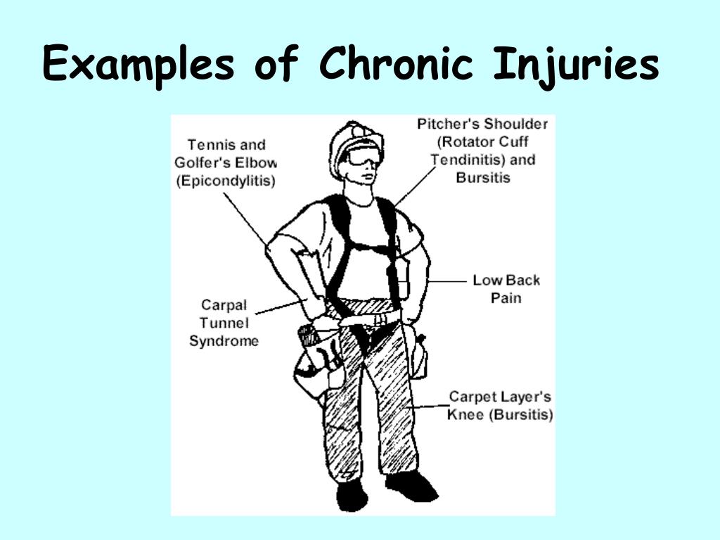 PPT - Ergonomics for Women in the Trades PowerPoint Presentation, free ...