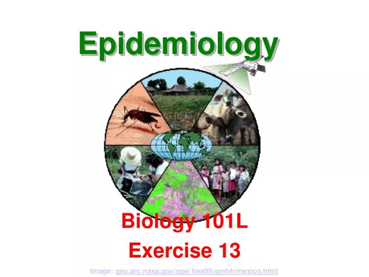 PPT - Epidemiology PowerPoint Presentation, free download - ID:308432