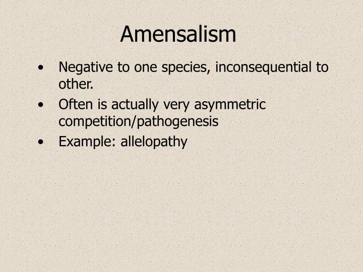 PPT - Allelopathy and herbivory PowerPoint Presentation - ID:308460