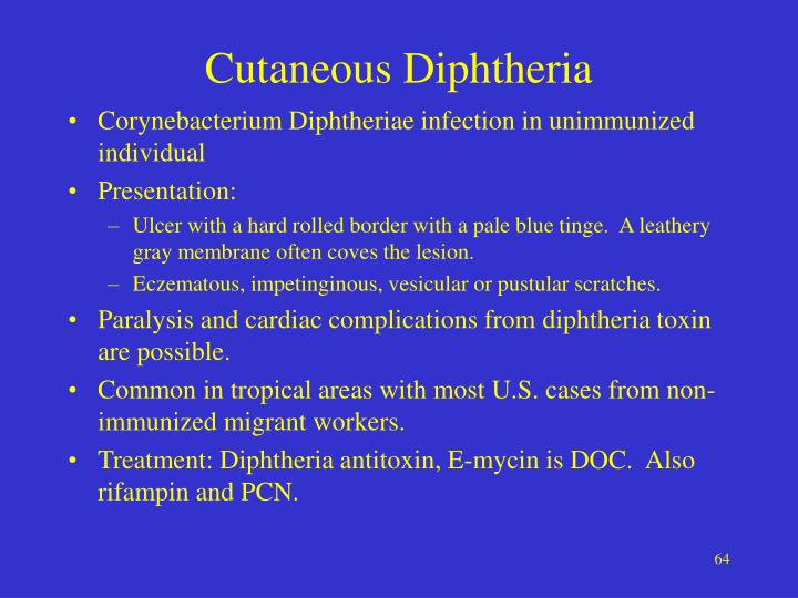 PPT - Bacterial Infections Chapter 14 PowerPoint Presentation - ID:308696