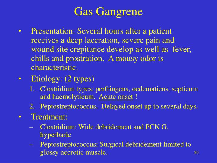 PPT - Bacterial Infections Chapter 14 PowerPoint Presentation - ID:308696