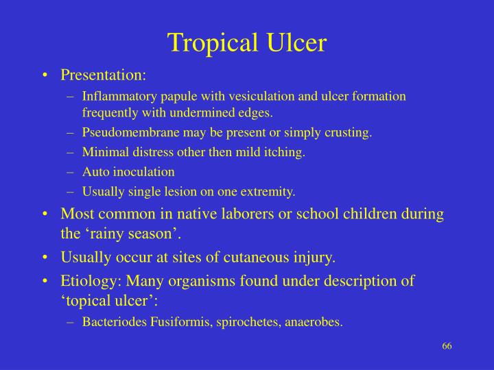 PPT - Bacterial Infections Chapter 14 PowerPoint Presentation - ID:308696