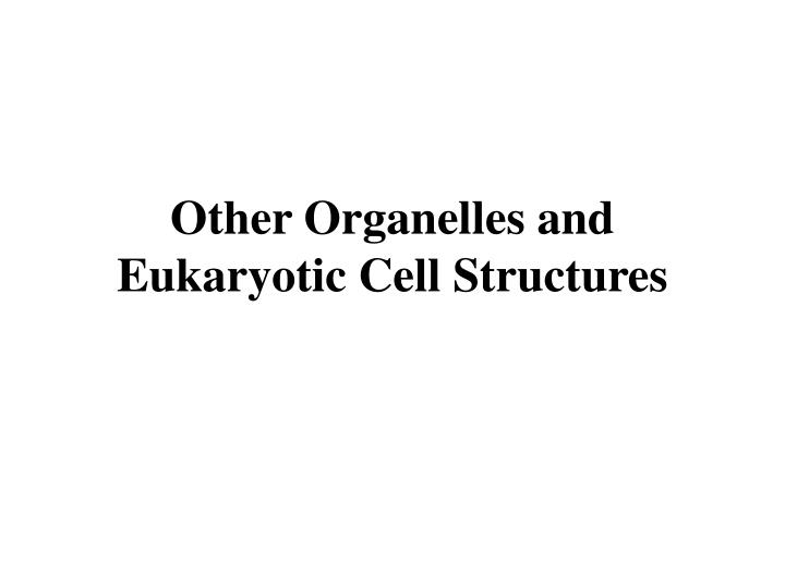 PPT - CHAPTER 14 Eukaryotic Cell Biology and Eukaryotic Microorganisms ...
