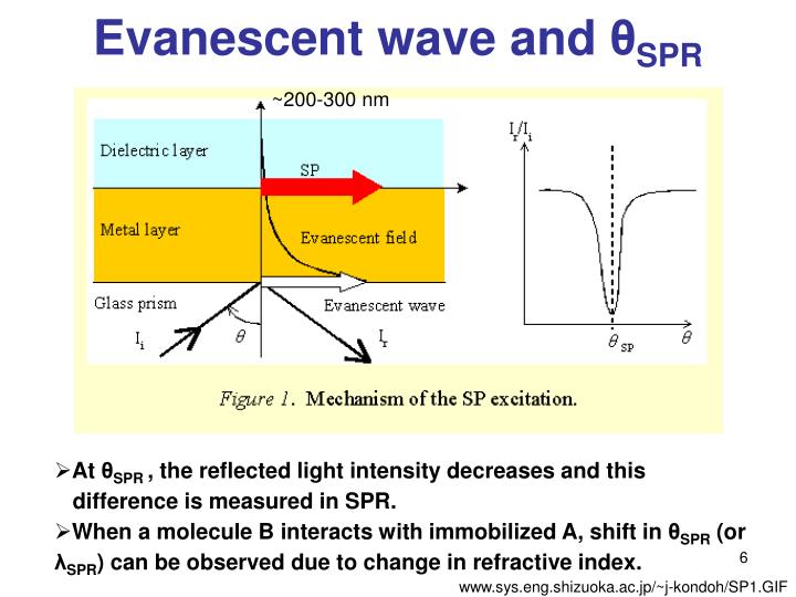 PPT - Surface Plasmon Resonance for Immunoassays PowerPoint ...
