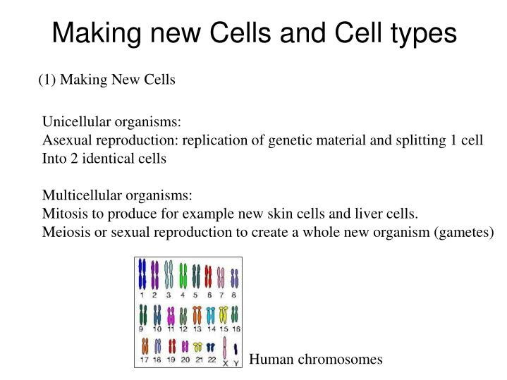 PPT - Introduction to Biology PowerPoint Presentation - ID:311344