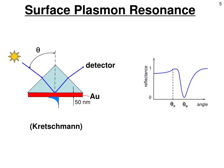 PPT - Surface Plasmon Resonance PowerPoint Presentation - ID:311821