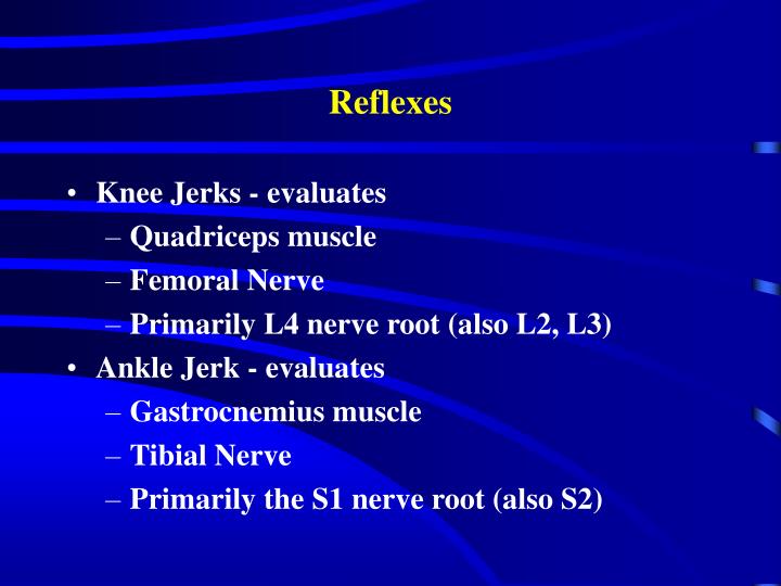 PPT - NERVE INJURIES OF THE LOWER EXTREMITY PowerPoint Presentation ...