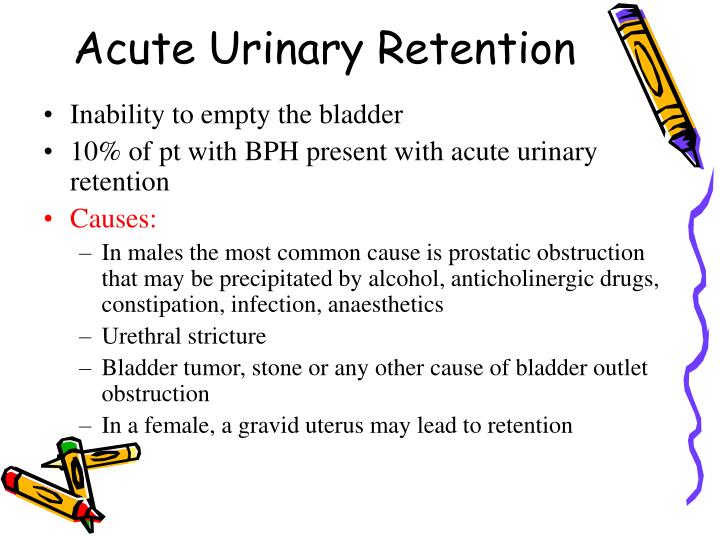 PPT - Acute Conditions in Urology & Scrotal Swellings PowerPoint ...