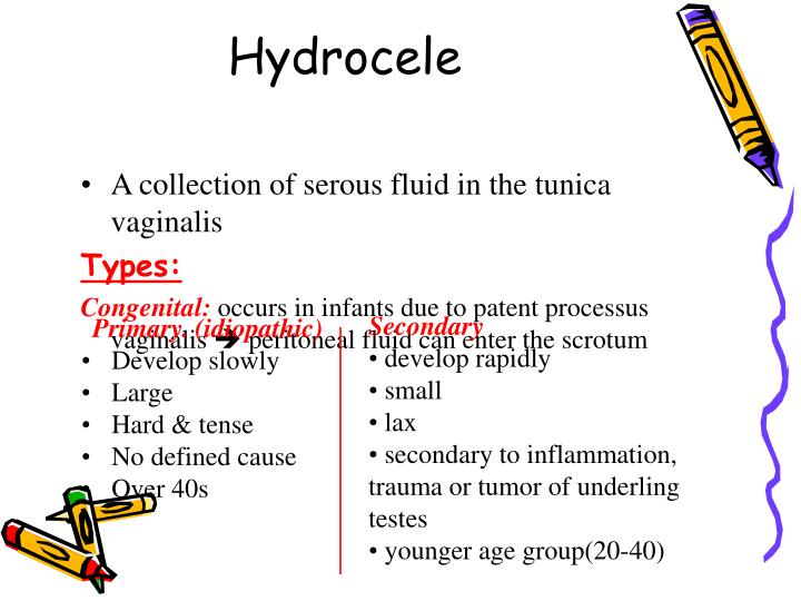 PPT - Acute Conditions in Urology & Scrotal Swellings PowerPoint ...