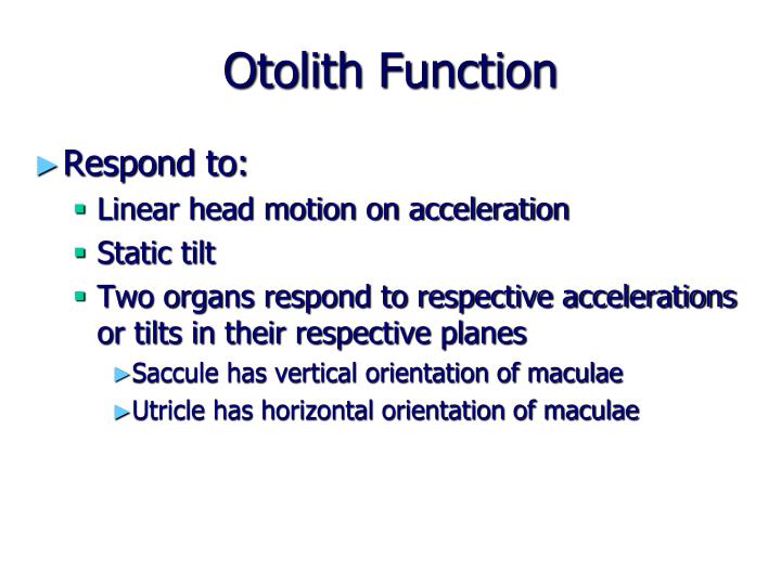 PPT - Vestibular Examination PowerPoint Presentation - ID:312783