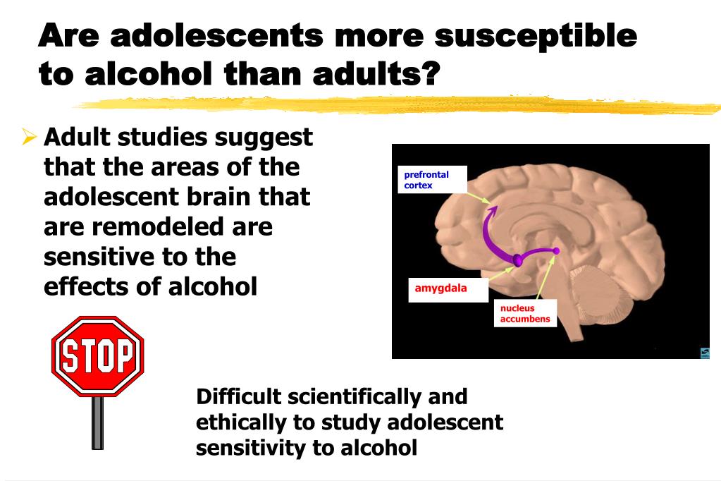 Ppt Alcohol And The Adolescent Brain Powerpoint Presentation Free