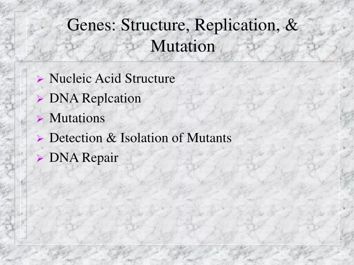 PPT - Genes: Structure, Replication, & Mutation PowerPoint Presentation ...