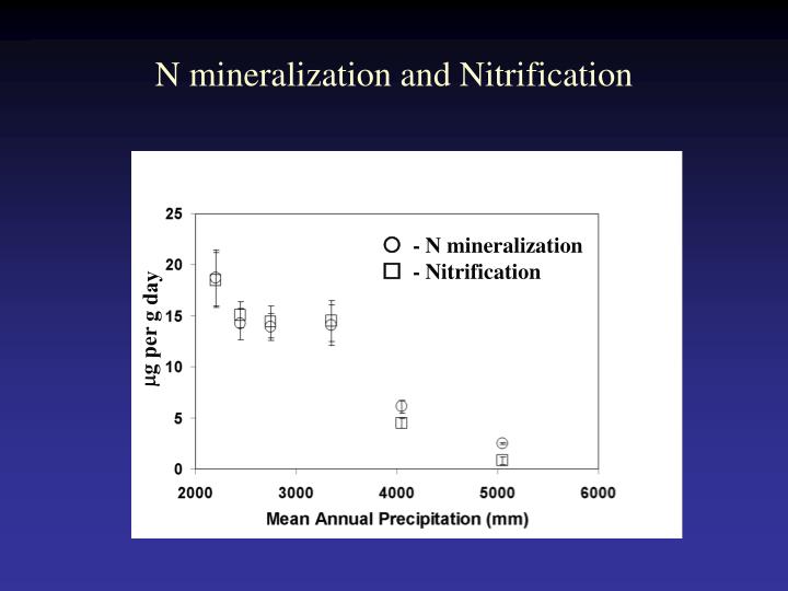 PPT - Microbial Diversity PowerPoint Presentation - ID:313268