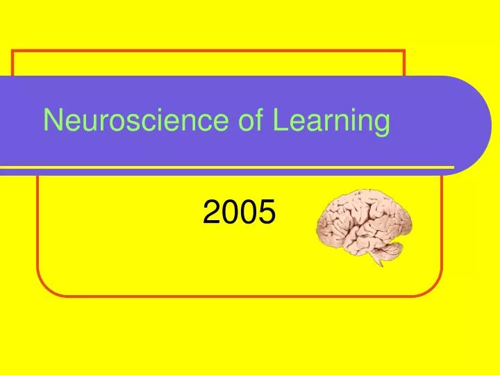 PPT - Neuroscience of Learning PowerPoint Presentation, free download ...