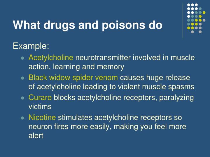 PPT - Brain Chemistry PowerPoint Presentation - ID:313341
