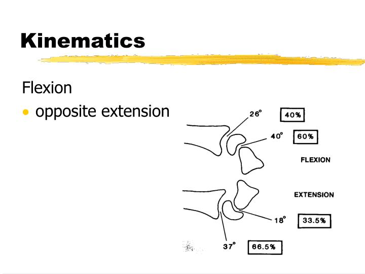 PPT - Wrist and Hand PowerPoint Presentation - ID:313713