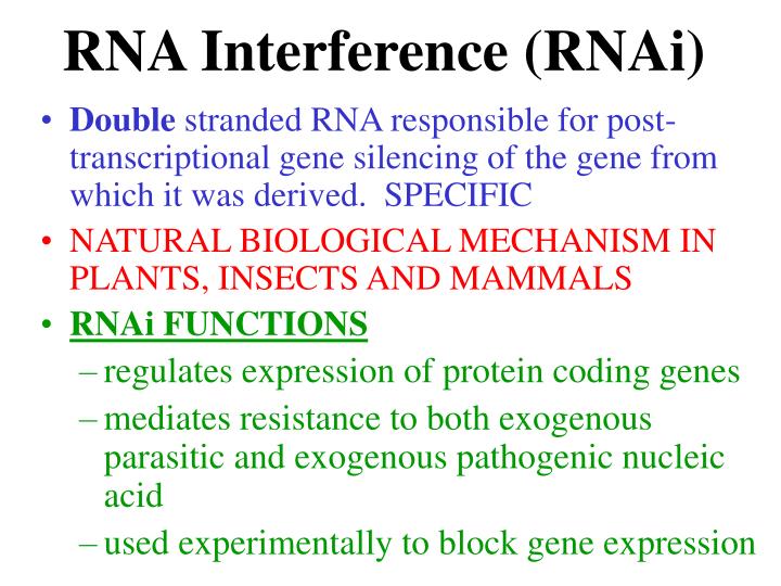 PPT - RNA Interference PowerPoint Presentation - ID:314632
