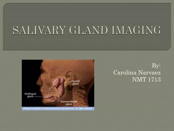 PPT - SALIVARY GLAND IMAGING PowerPoint Presentation, free download ...