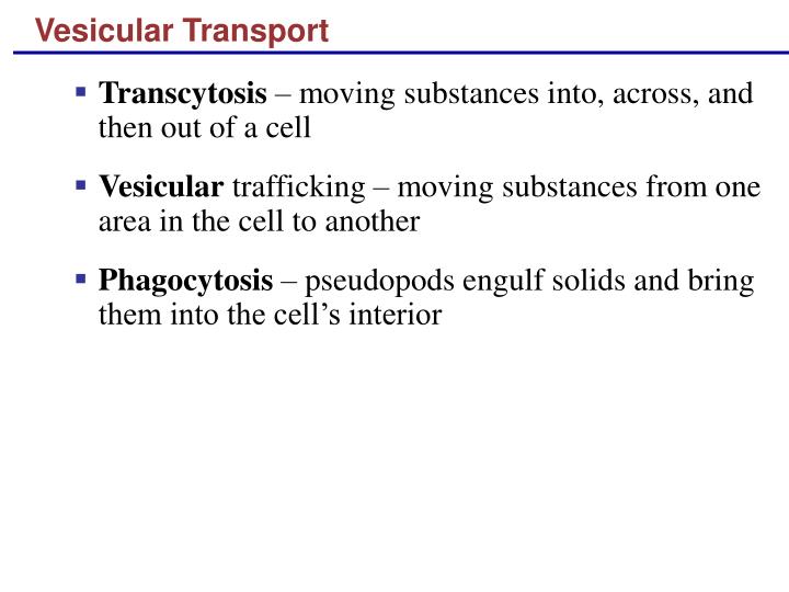 PPT - Fluid Mosaic Model PowerPoint Presentation - ID:315477