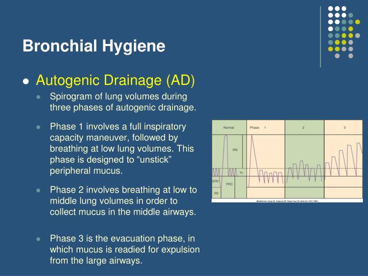 PPT - Bronchial Hygiene Therapy II PowerPoint Presentation - ID:315961