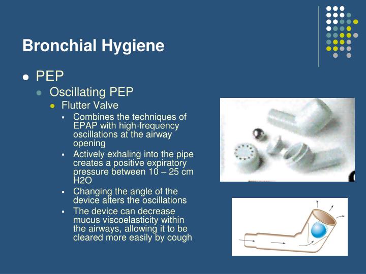 PPT - Bronchial Hygiene Therapy II PowerPoint Presentation - ID:315961
