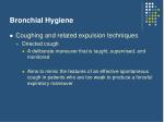 PPT - Bronchial Hygiene Therapy II PowerPoint Presentation - ID:315961