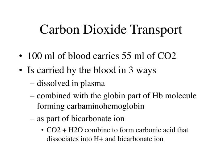 PPT - Chapter 23 The Respiratory System PowerPoint Presentation - ID:315992