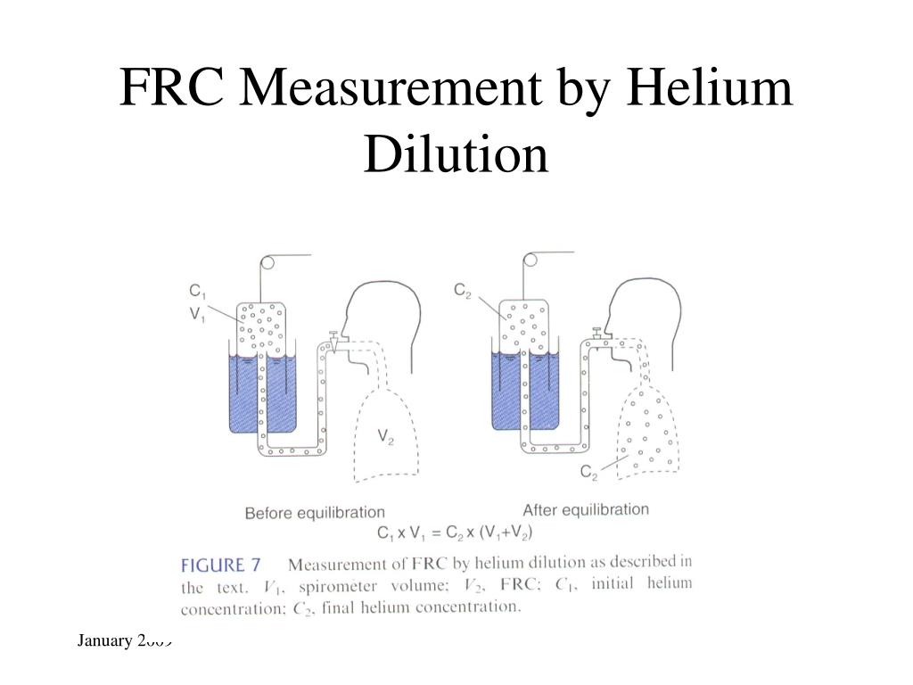 PPT - Pulmonary Function Testing Clinical Physiology PowerPoint ... PPT - Pulmonary Function Testing Clinical Physiology PowerPoint ...