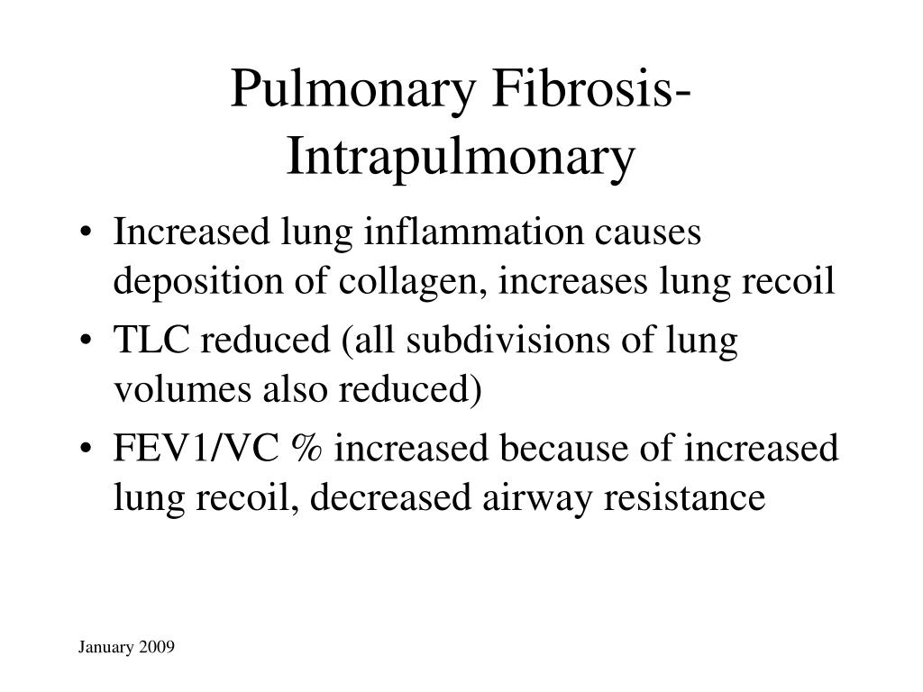 PPT - Pulmonary Function Testing Clinical Physiology PowerPoint ... PPT - Pulmonary Function Testing Clinical Physiology PowerPoint ...