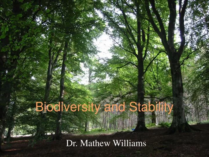 PPT - Biodiversity and Stability PowerPoint Presentation, free download ...