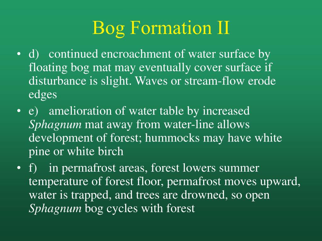 PPT - BIOLOGY 3404F EVOLUTION OF PLANTS Fall 2008 PowerPoint ...