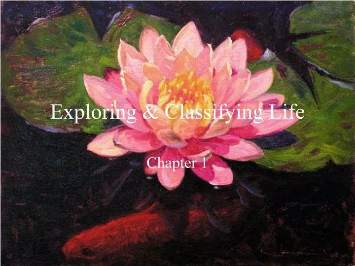 PPT - Exploring & Classifying Life PowerPoint Presentation, free ...