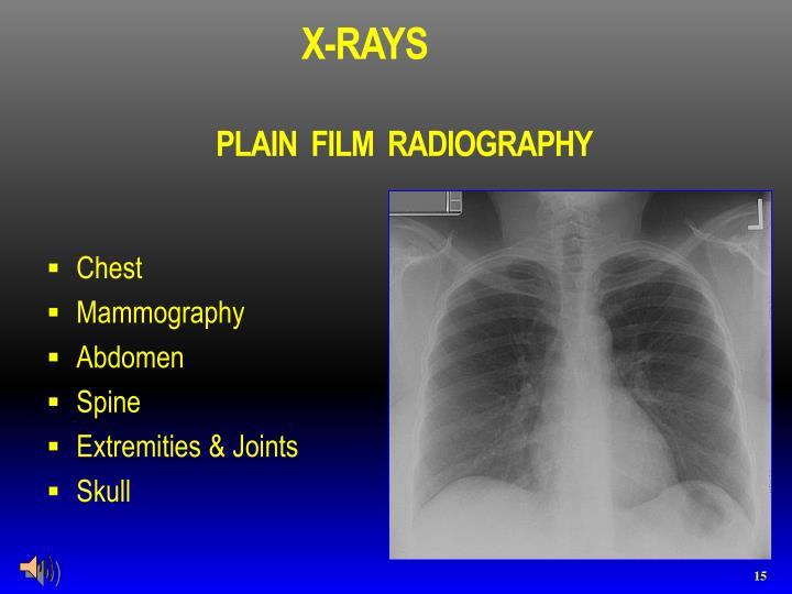 PPT - As Clinical Anatomy PowerPoint Presentation - ID:316732