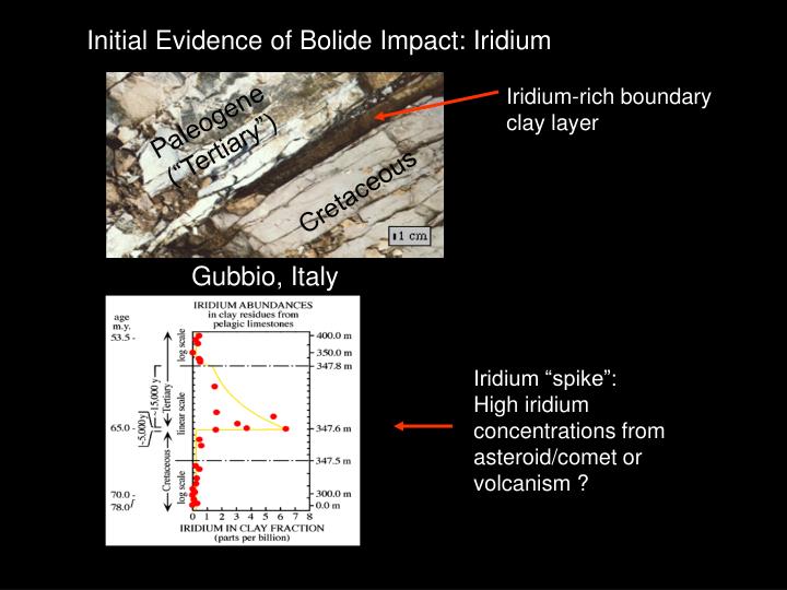 PPT - Cretaceous Calamity: The Cretaceous-Tertiary Mass Extinction (and ...