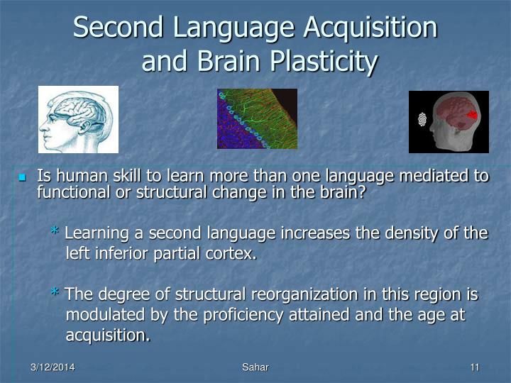 PPT - NEUROLINGUISTICS PowerPoint Presentation - ID:318401