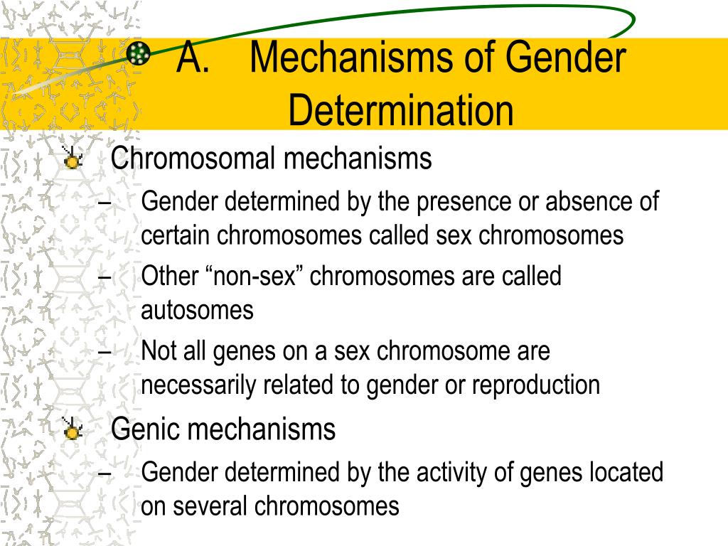 Ppt Inheritance Patterns Related To Gender Determination Powerpoint