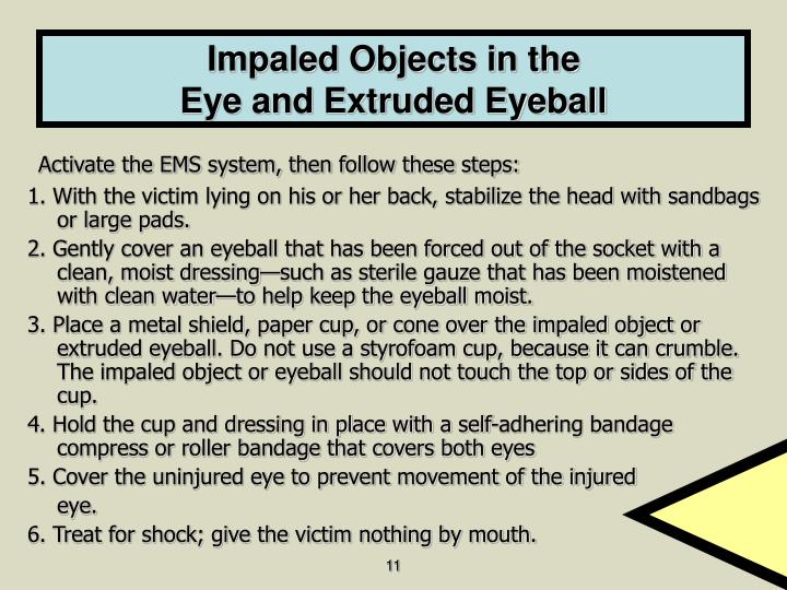 PPT - Ch. 8-Injuries to the Face, Eye, and Throat PowerPoint ...