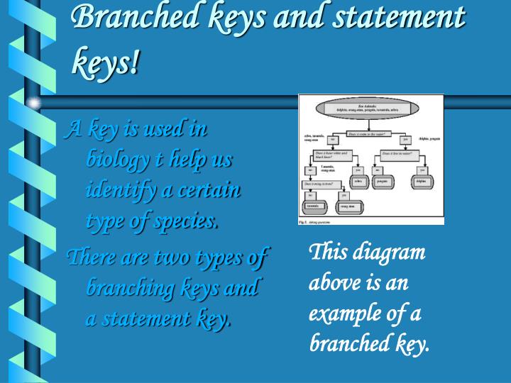 PPT - Branched keys and statement keys! PowerPoint Presentation, free ...